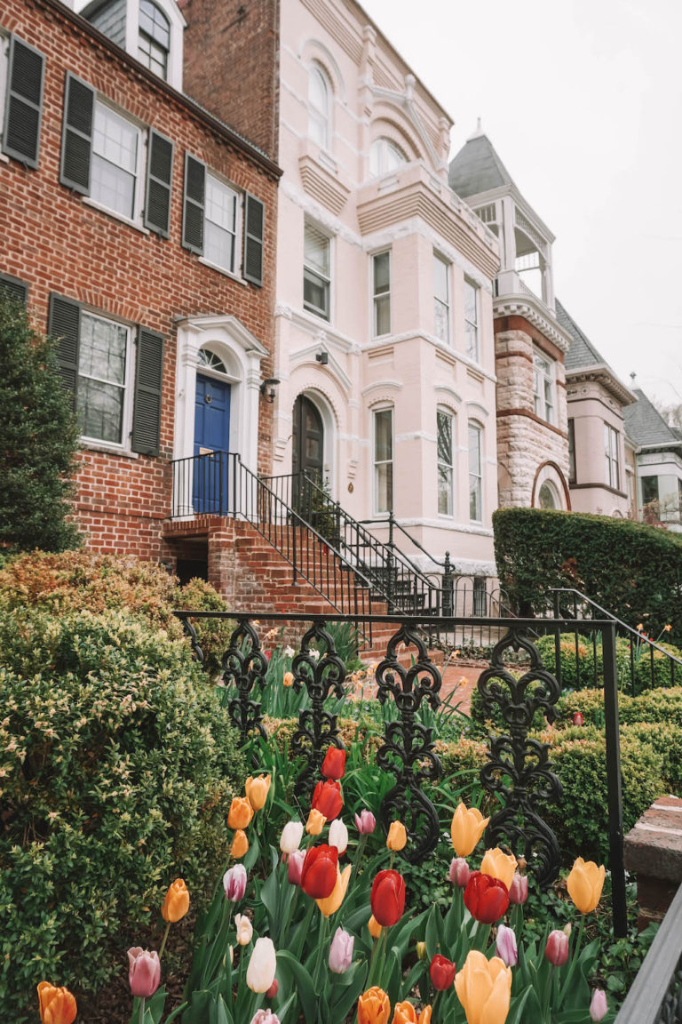 The BEST Things to Do in Georgetown, DC | Tall Girl Big World