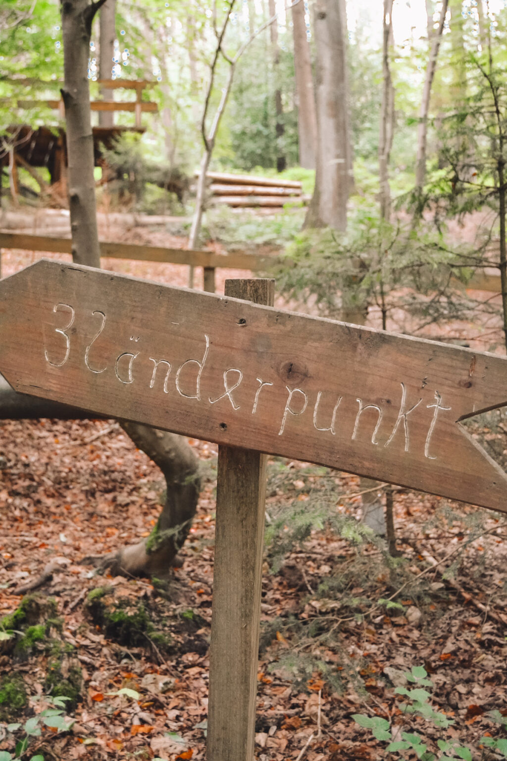 Top Things to Do in Aachen: Western Germany's Beautiful Spa City | Tall ...