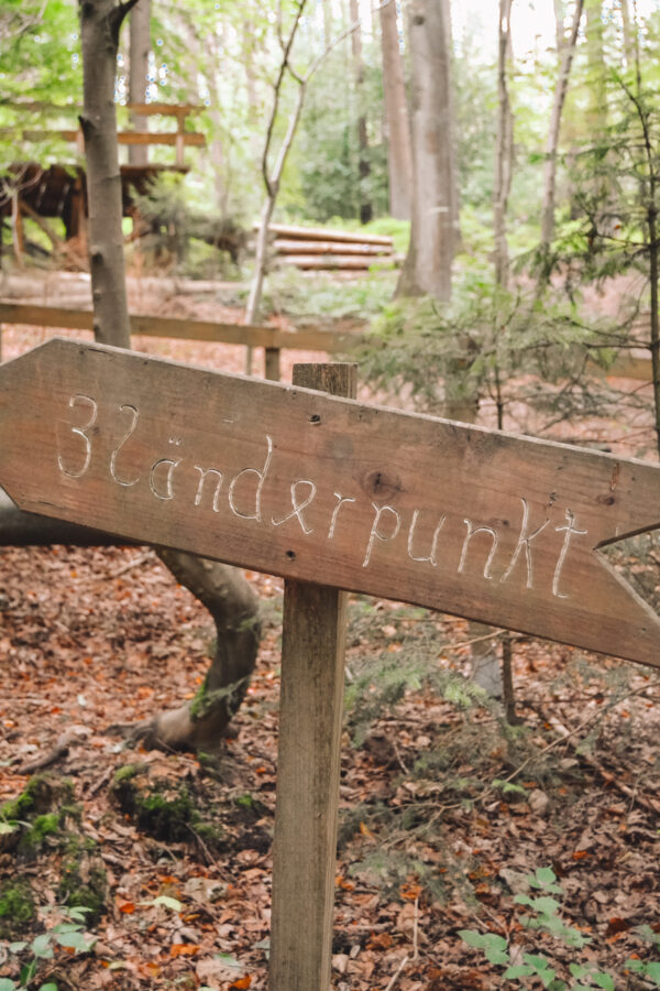 Top Things to Do in Aachen: Western Germany's Beautiful Spa City | Tall ...