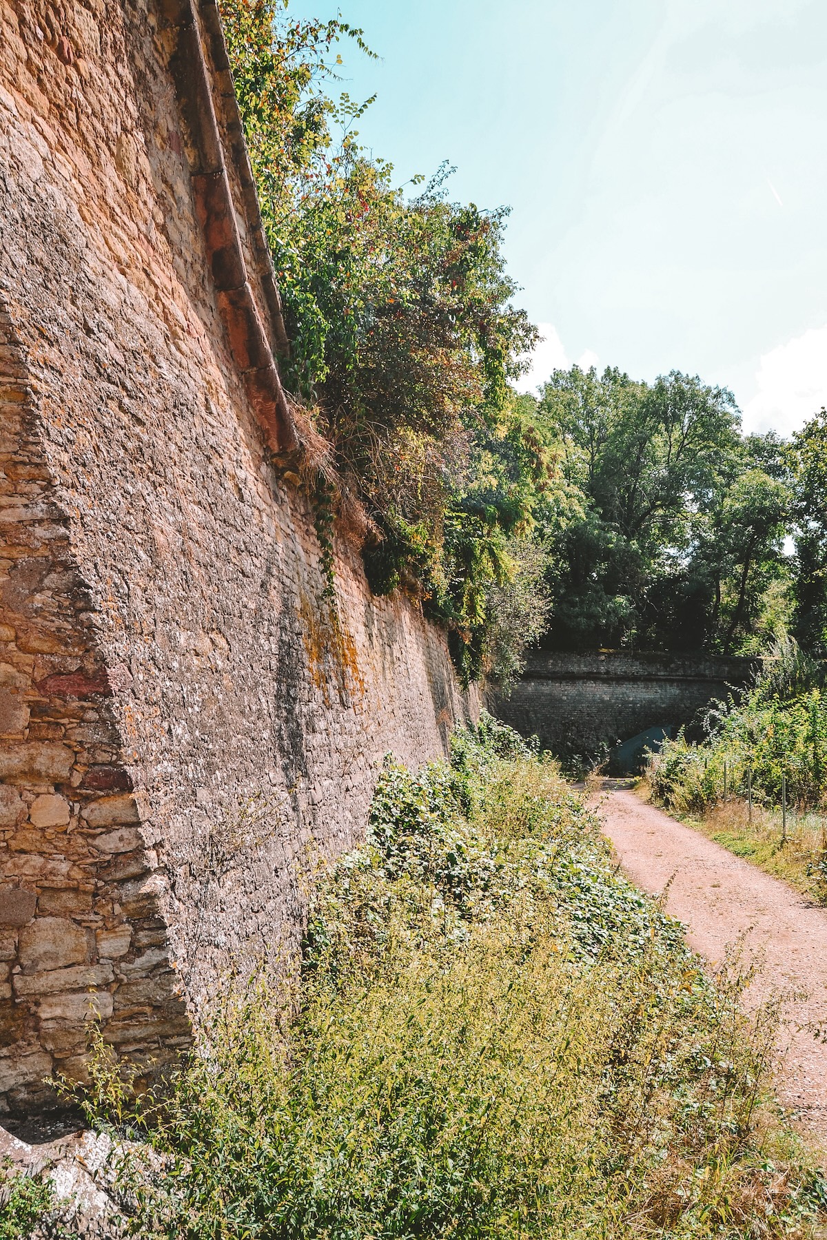 The BEST Things to Do in Mainz, Germany (Riesling and Rhine River Views ...